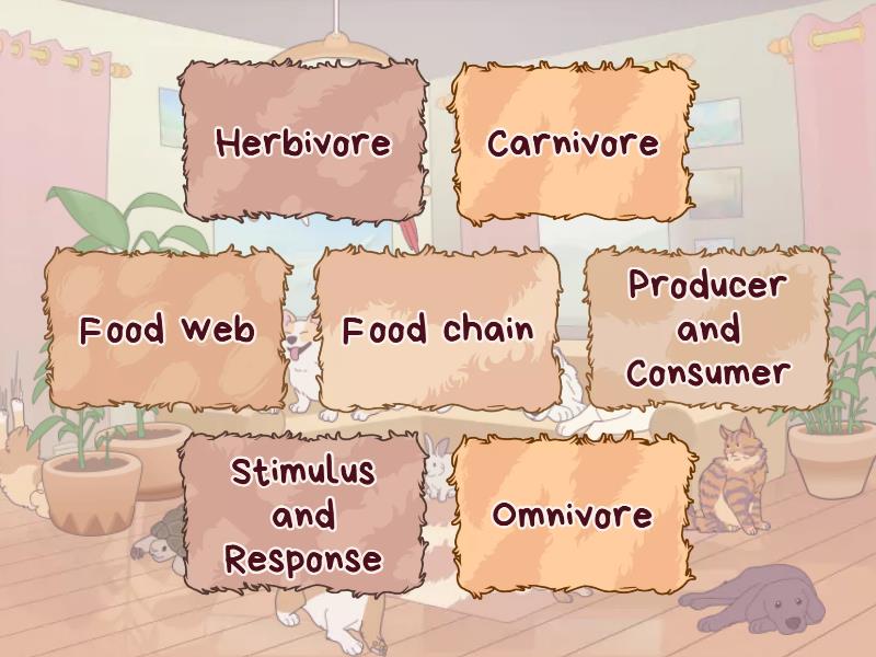 Living things and their environment (concepts) - Fichas giratorias