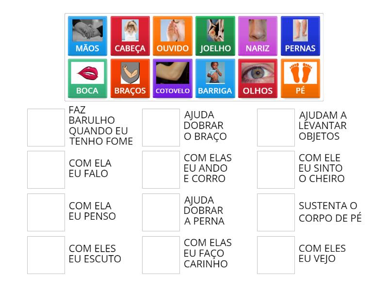 PARTES DO CORPO HUMANO PROF GI - Match up
