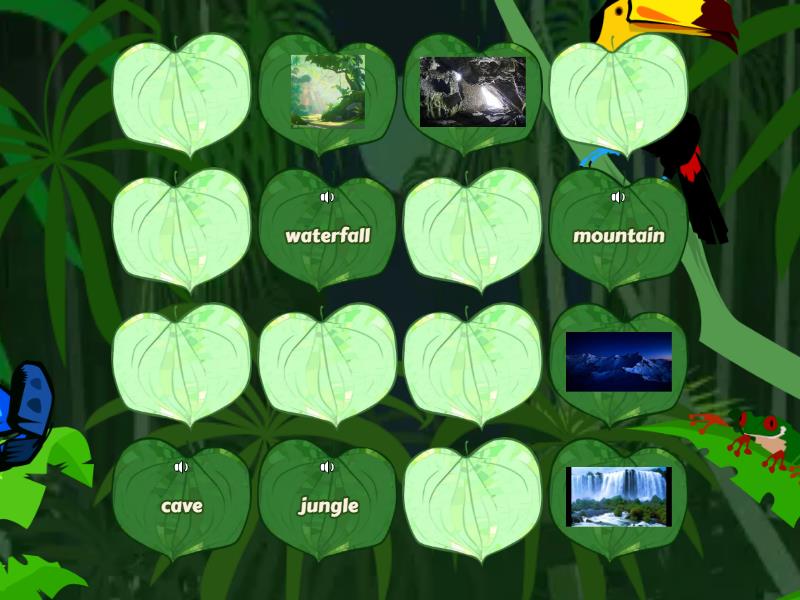 Animal habitats vocabulary - Matching pairs