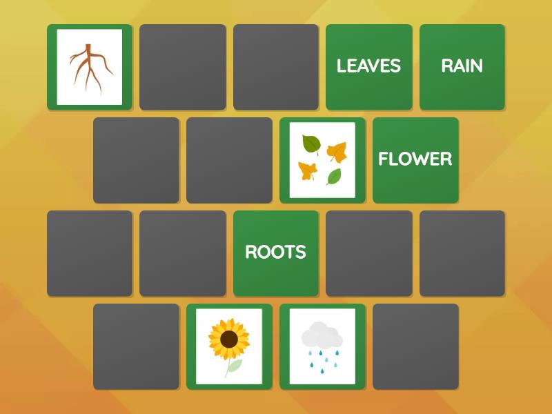 PLANT PARTS MEMORY - Matching pairs