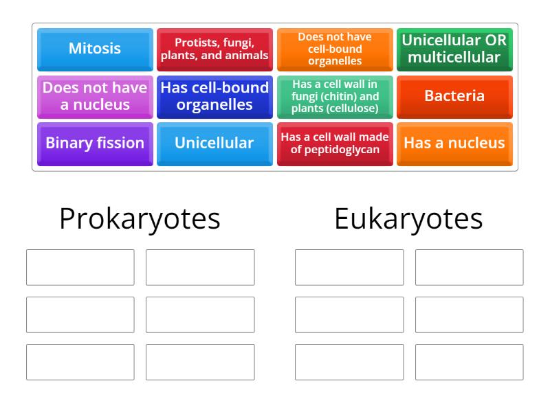 Prokaryotes VS. Eukaryotes - Group sort