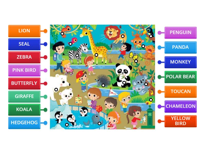 MY ZOO - Labelled diagram