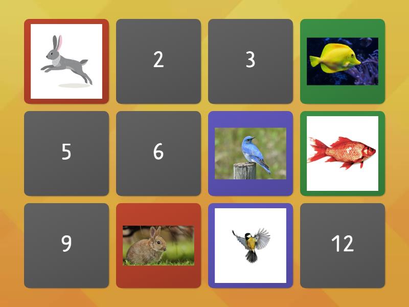 Super Safari 1 Unit 6 - Parejas