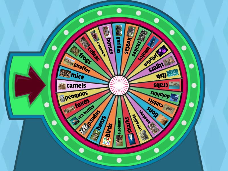 Where do lions live? - Spin the wheel