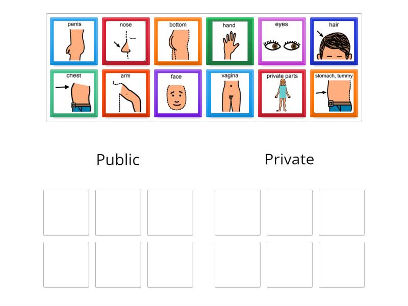 Private Vs Public Body Parts - Group sort