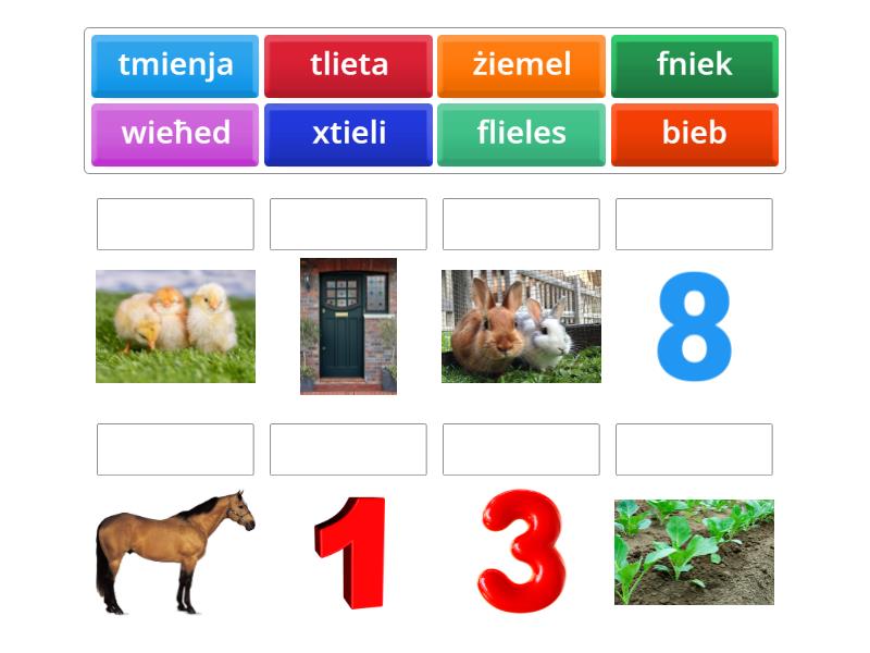 Il-vokali ie Part 1 - Match up