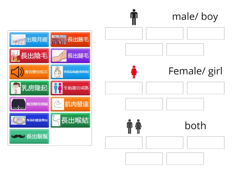 Body change in your puberty: male/ female/ both - Group sort