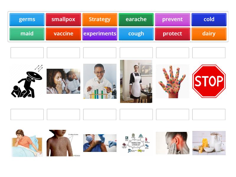 vocab - Match up
