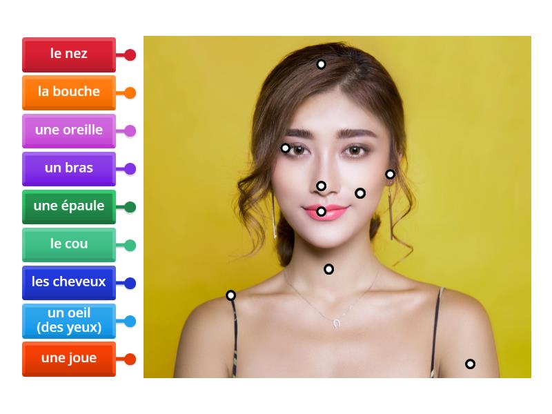 Les parties du corps: le visage - Diagrama con etiquetas