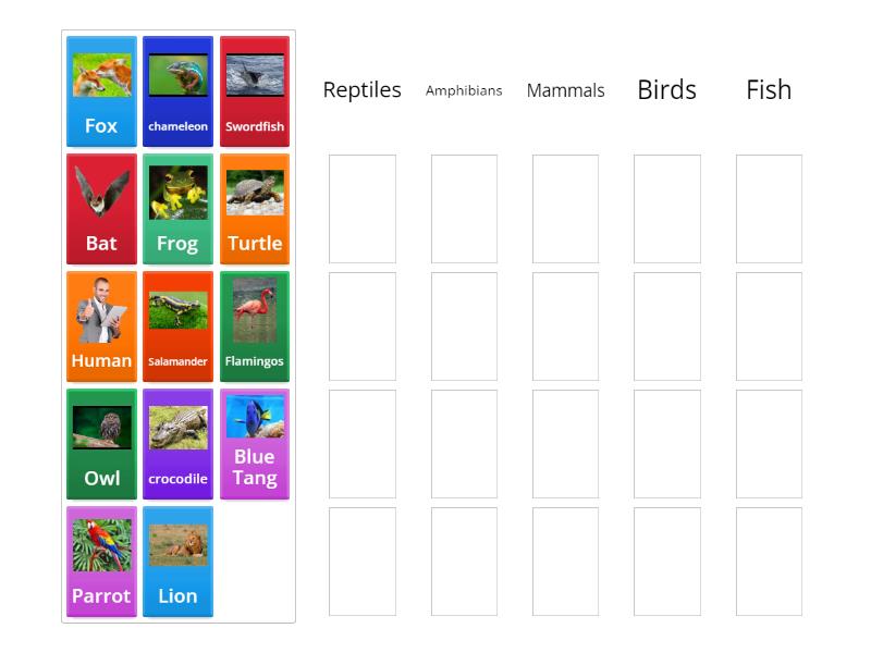 Animal classification - Group sort