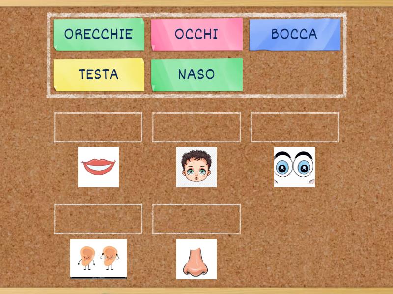 Le parti del viso - Match up