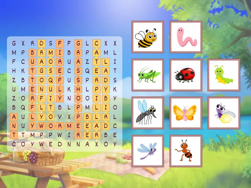 INSECTS (Find the word) - Wordsearch