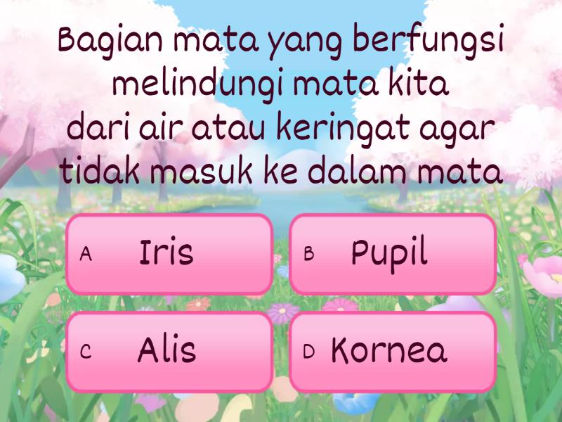Kelas 5 IPAS "Bagian Mata dan Fungsinya" - اختبار تنافسي