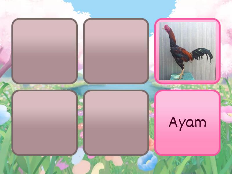 Soal Menjodohkan - Matching pairs