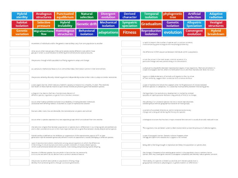 Evolution wordwall - Match up
