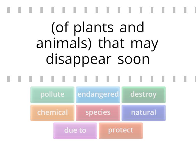 Endangered Species (Vocabulary) - Find the match