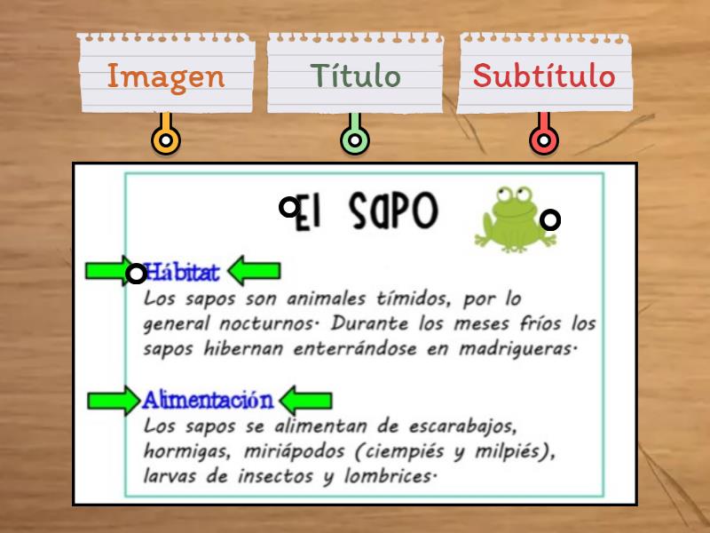 Estructura del texto informativo 2°básico - Labelled diagram