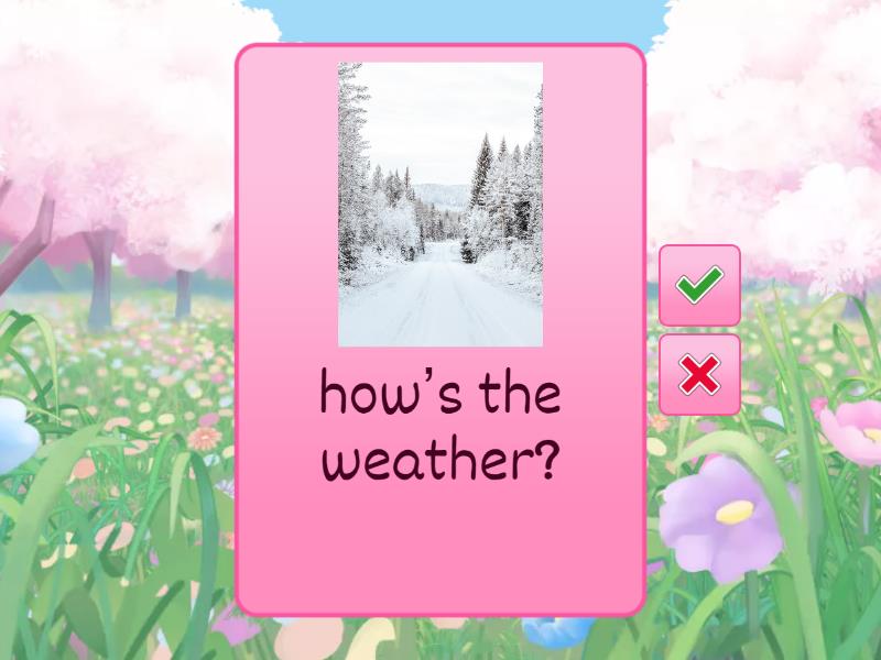 weather1 - Flash cards