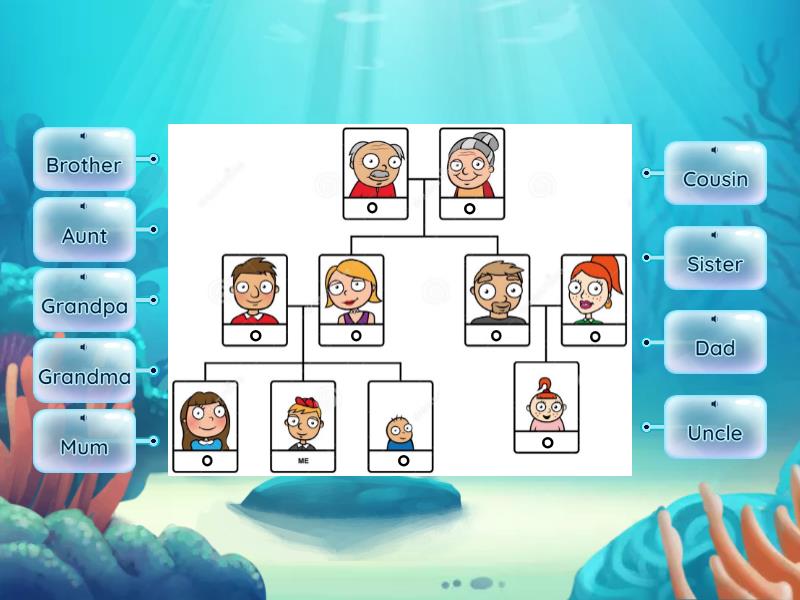 A1 - Family members - Labelled diagram