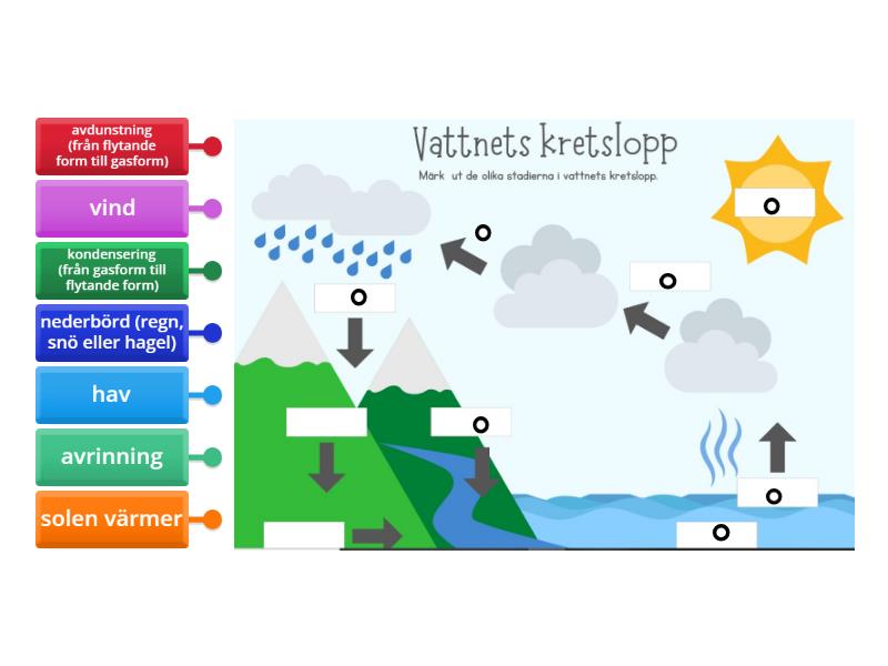 Vattnets kretslopp - Labelled diagram