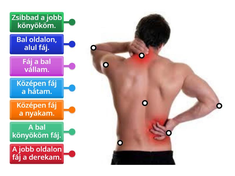 Hol fáj pontosan? - Labelled diagram
