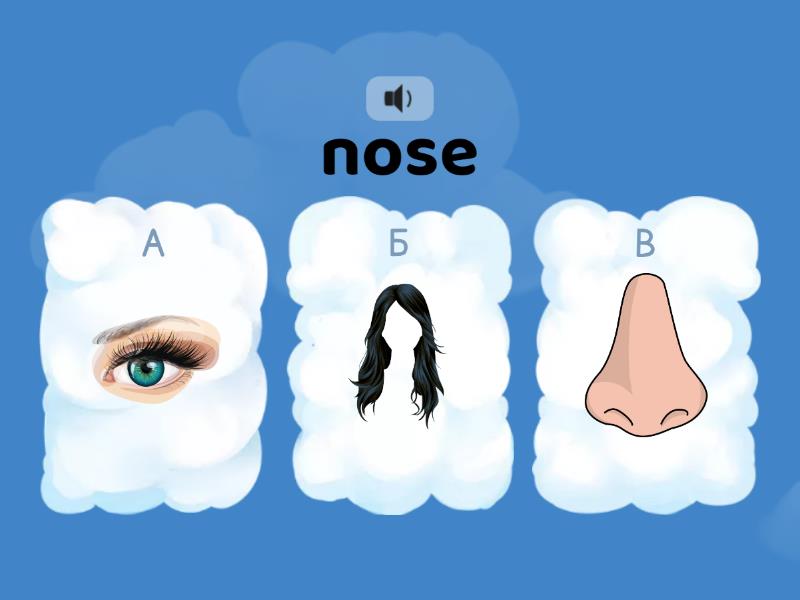 Parts of the face - Quiz