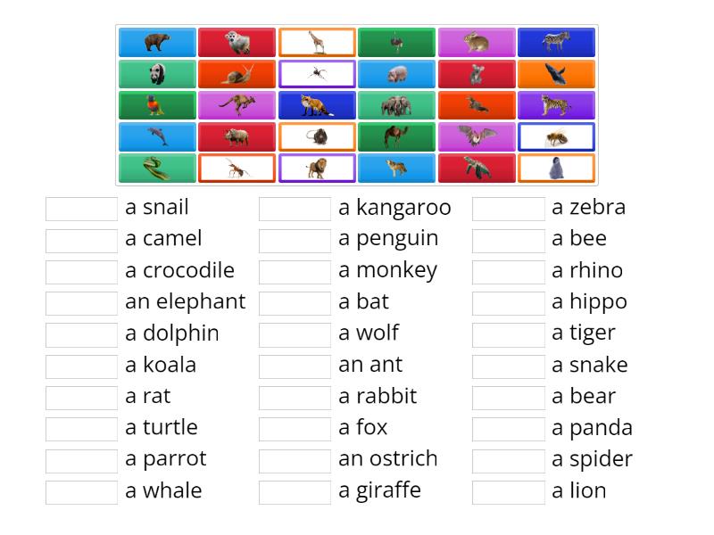 Hocus Pocus 2 - Animals - Match up