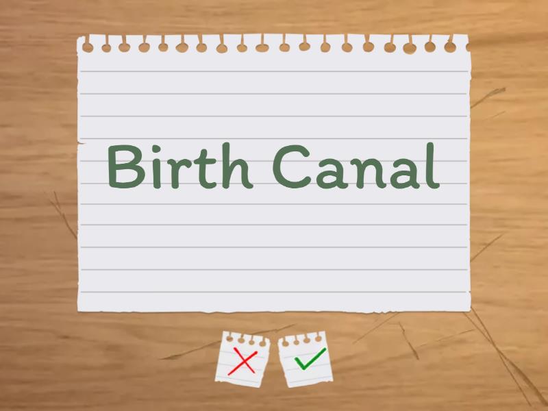 SCIENCE 6-UNIT 1.3- MINDMAP - Flash cards