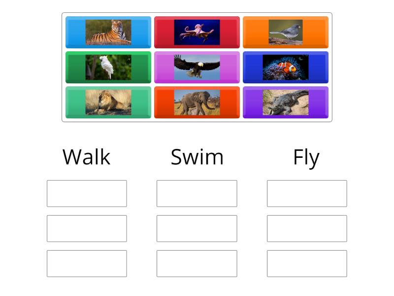 Animals Verbs - Group sort