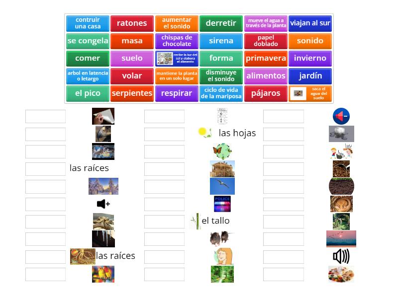 Repaso del vocabulario de ciencias - Match up