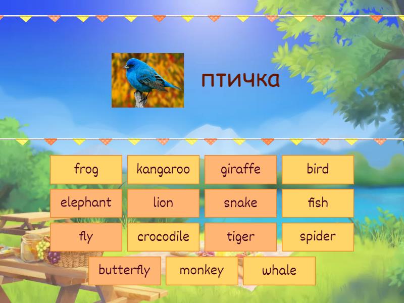 GG (Animals) - Find the match