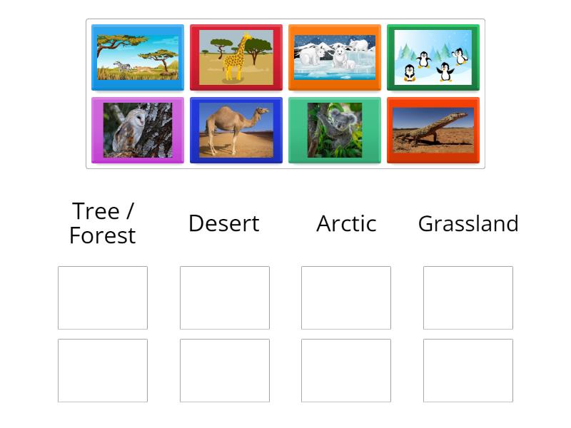 Animals and their habitats sorting 2B (Practice 2) - Ordenar por grupo