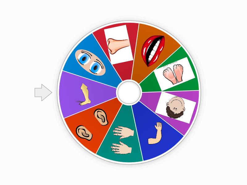 Body Parts - Spin the wheel