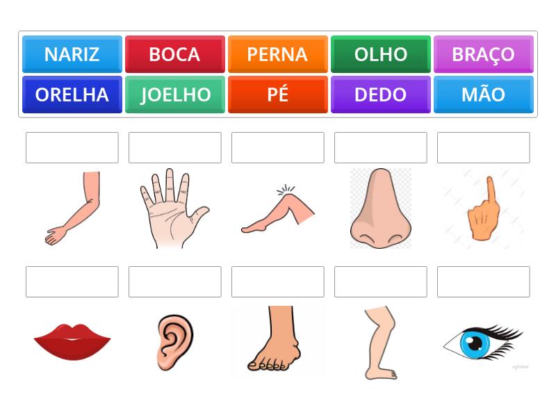 PARTES DO CORPO - Match up