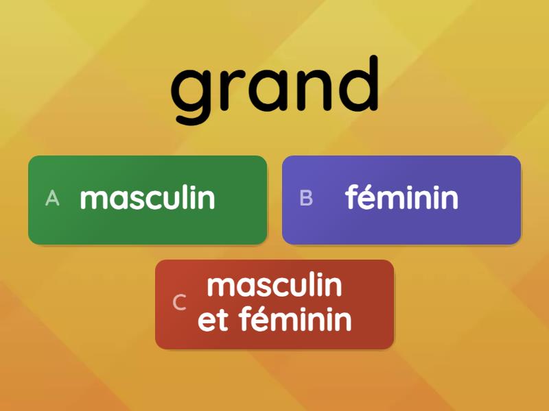 Les adjectifs - Quiz