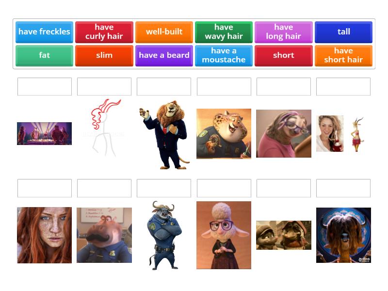 Appearance Zootopia - Match up