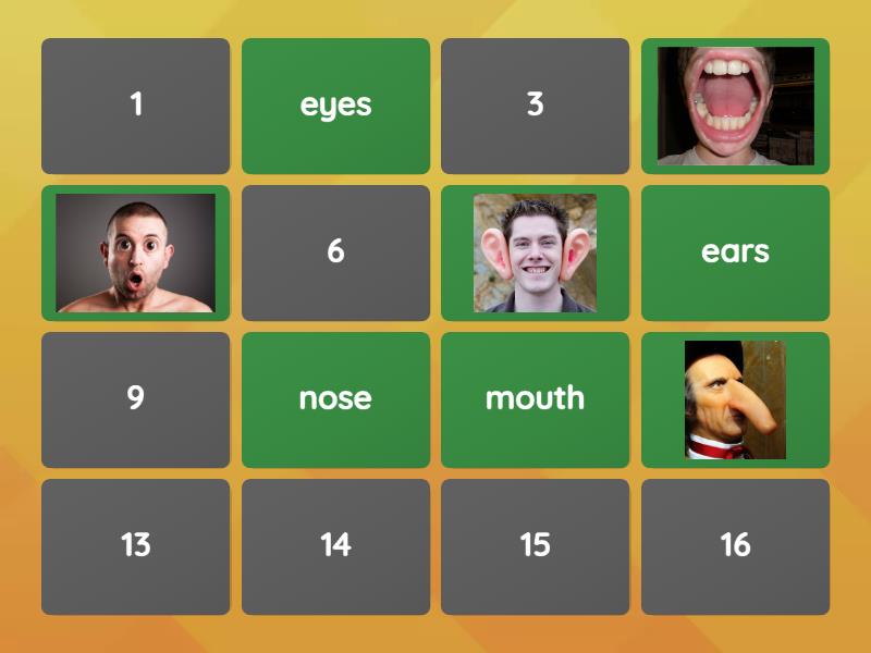 Look Starter unit 8 - Matching pairs