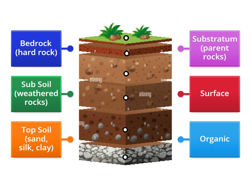 Science 3: Layers of the Soil - Labelled diagram