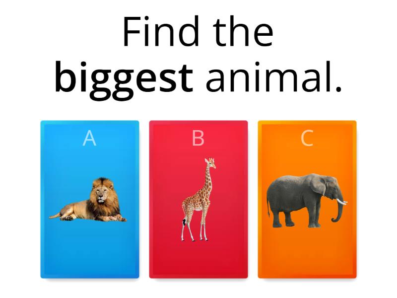Big or Small? - Quiz