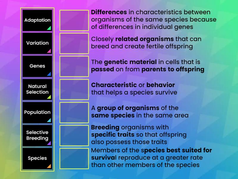 7.13D Natural and Artificial Selection - Match up