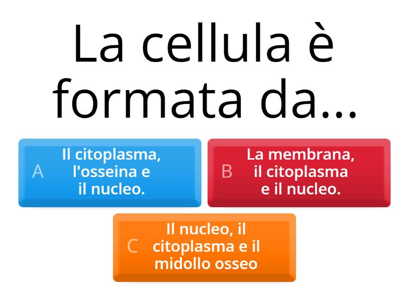 IL CORPO UMANO 1 parte - Quiz