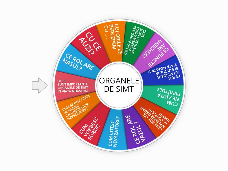 ORGANELE DE SIMT - Random wheel