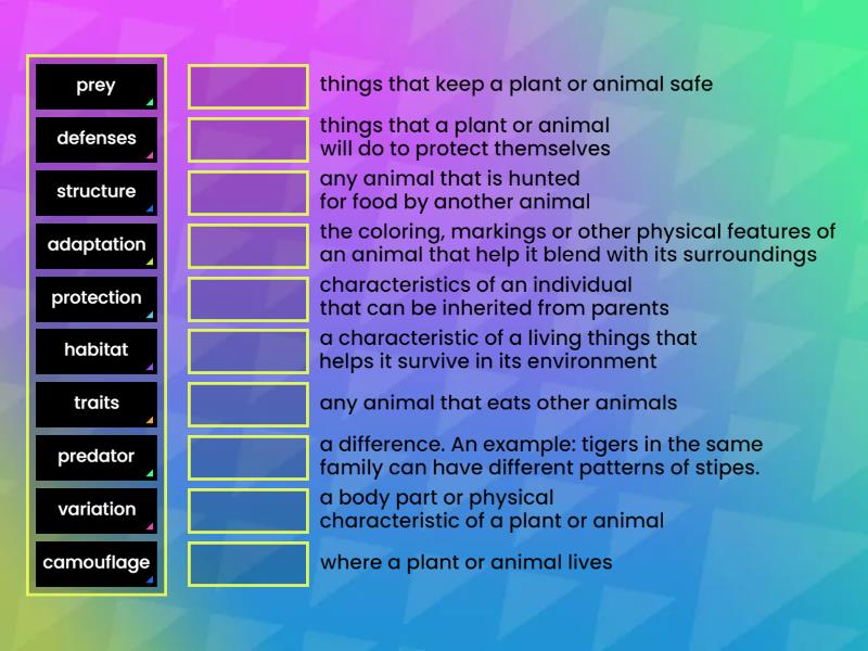 Animal Adaptations - Match up
