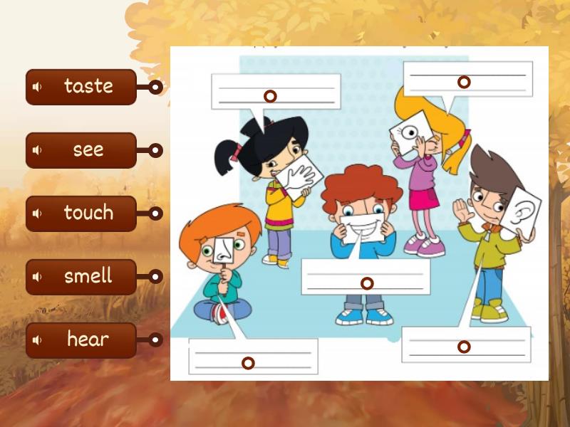5 SENSES DIAGRAM - Labelled diagram