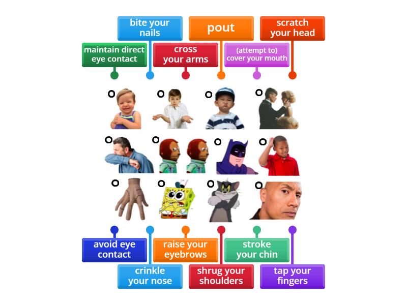 B2 lesson 4 CC4 - Labelled diagram