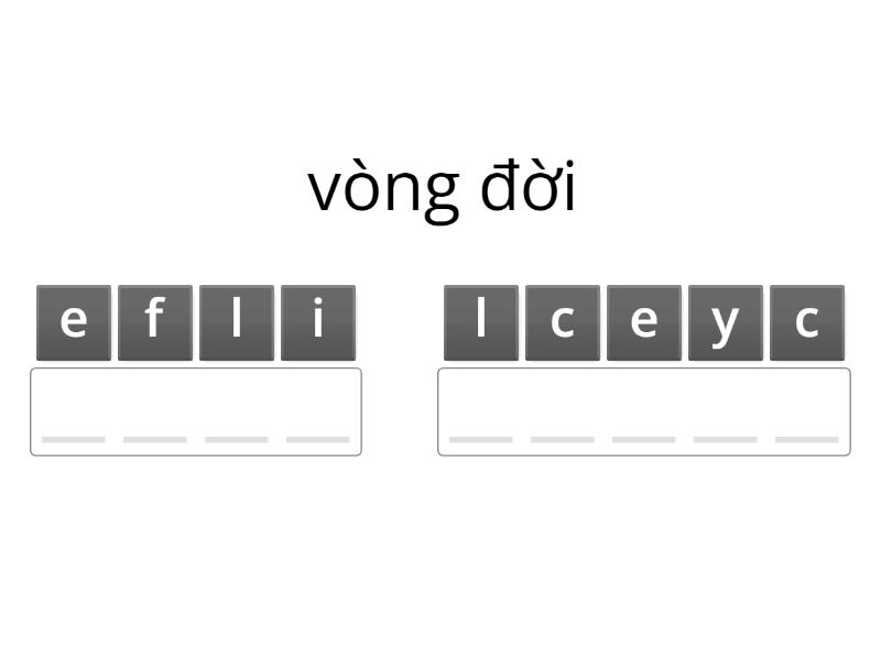 3A: Project- butterfly life cycle - Anagram