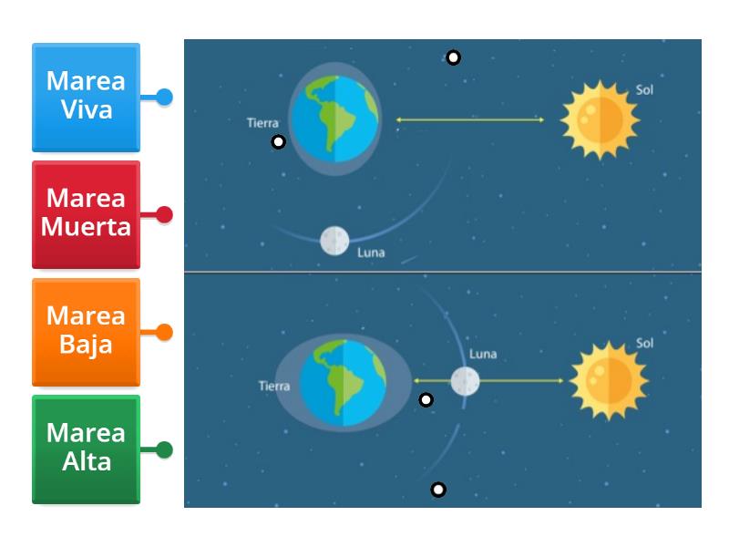 Tipos de Marea - Labelled diagram