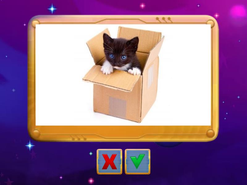 Beehive 1 - Unit 9 (2) - Flash cards