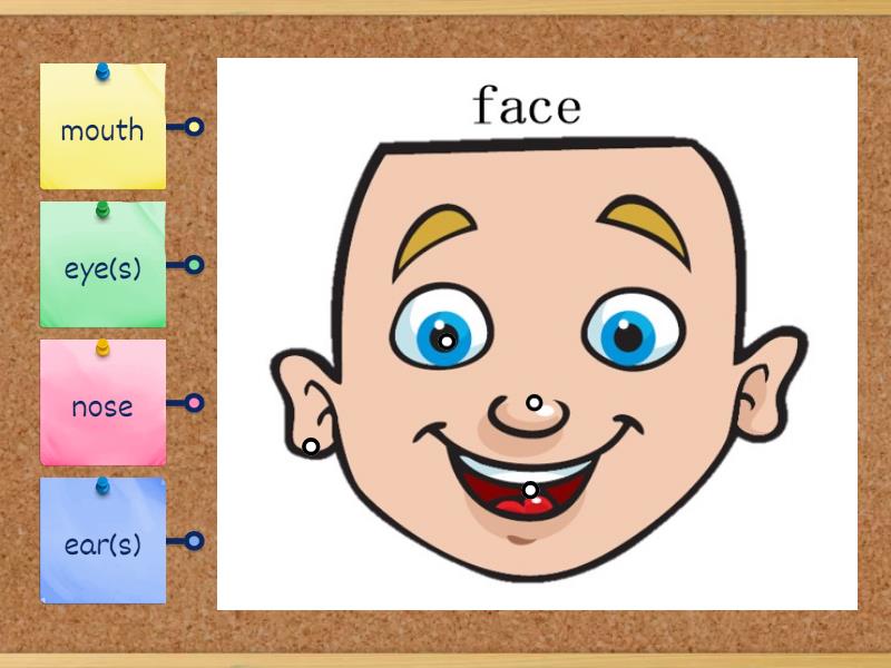 Starters Lesson 6 Game 4 - Body parts - Labelled diagram