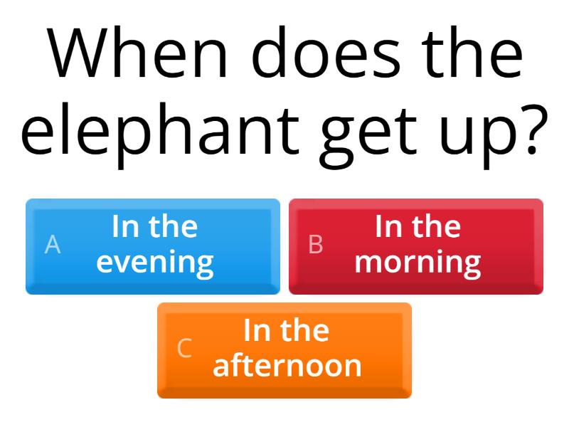 Elephant's Day - Quiz